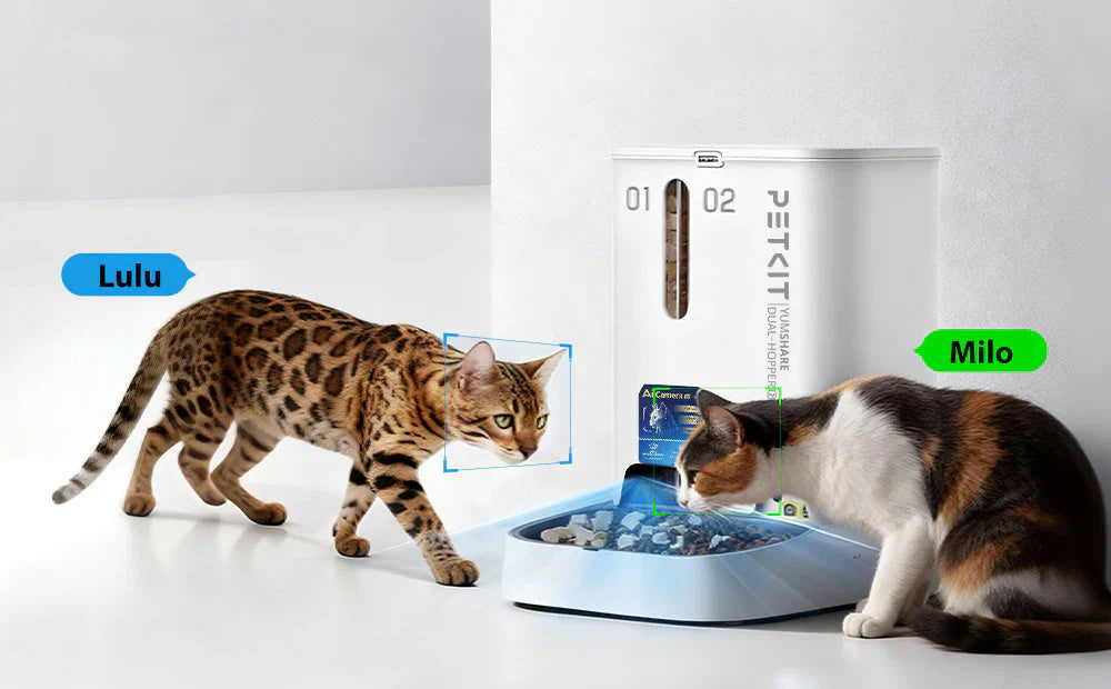 Introducing YUMSHARE DUAL-HOPPER 2: The AI Pet Feeder That Tracks Ever