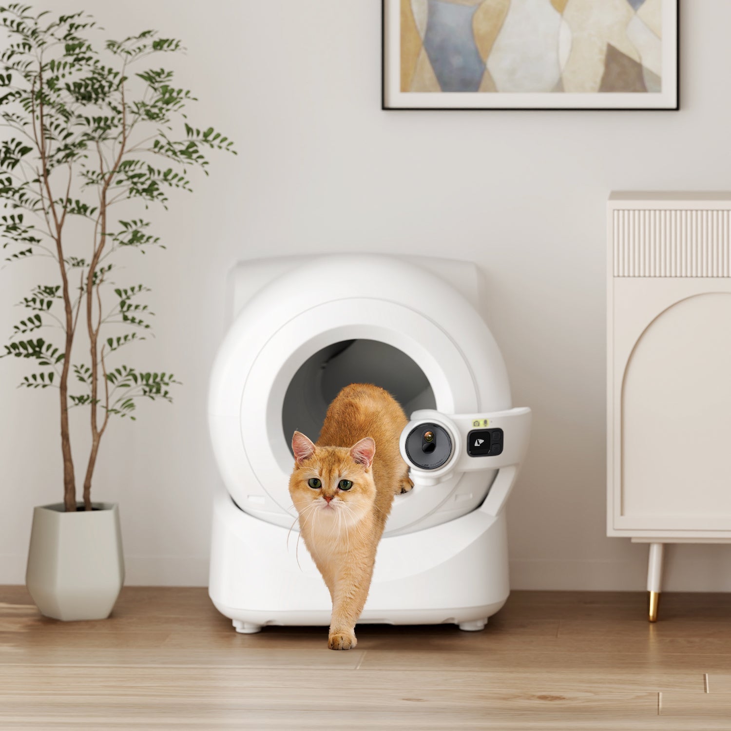 2025/08/11 Electric Litter Boxes: The Future of Feline Care