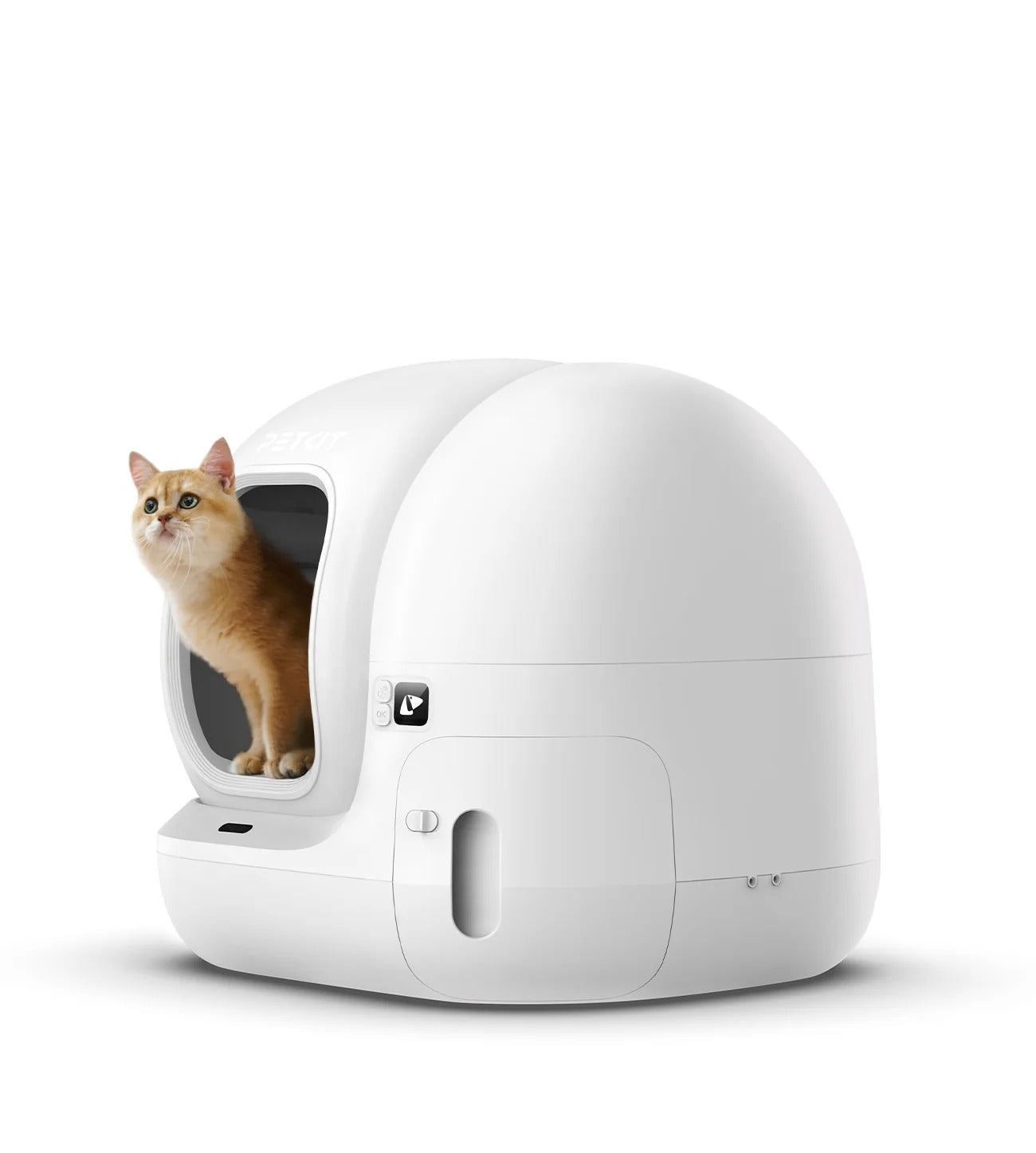 2025/08/30 Top Auto Litter Box for Europe: Petkit Pura Max Review (Mul