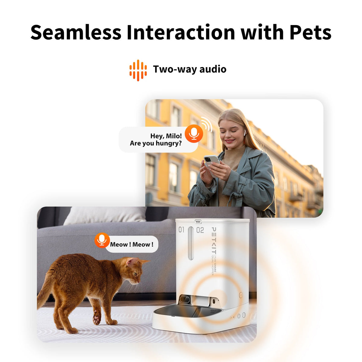 YumShare Dual-Hopper Automatic Feeder with Camera – Smart Pet Feeding
