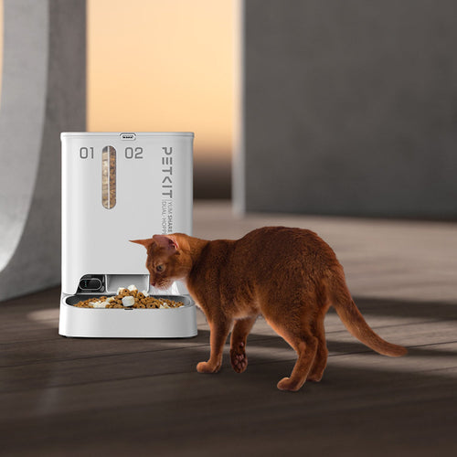 YumShare Dual-Hopper Automatic Feeder with Camera – Smart Pet Feeding
