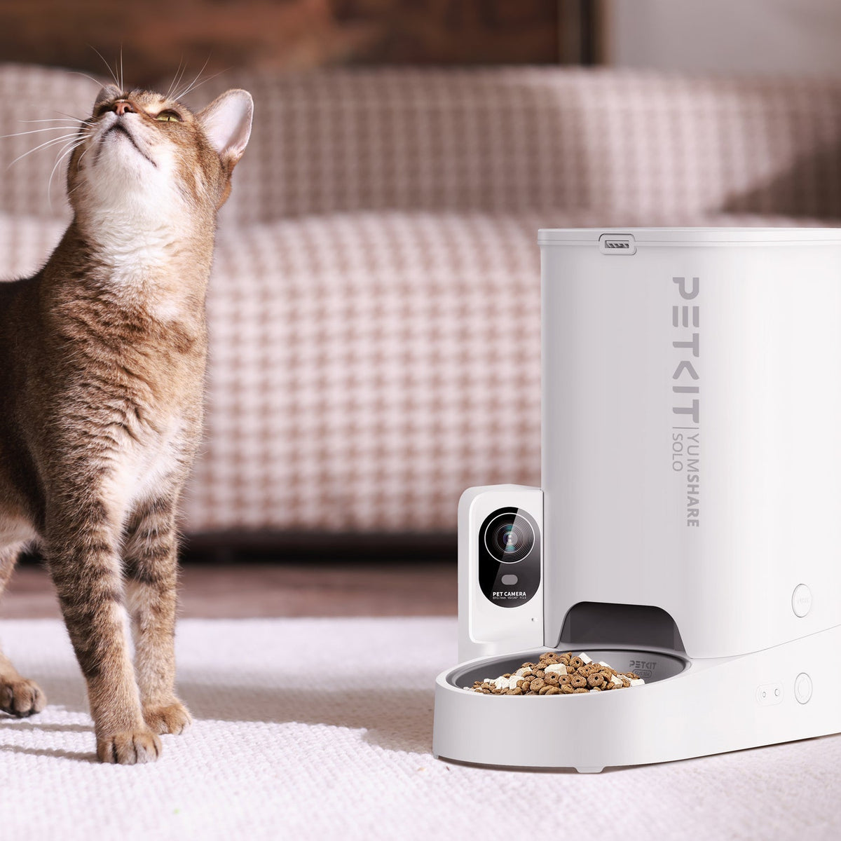 YumShare Solo Automatic Feeder with Camera – Smart Pet Feeding