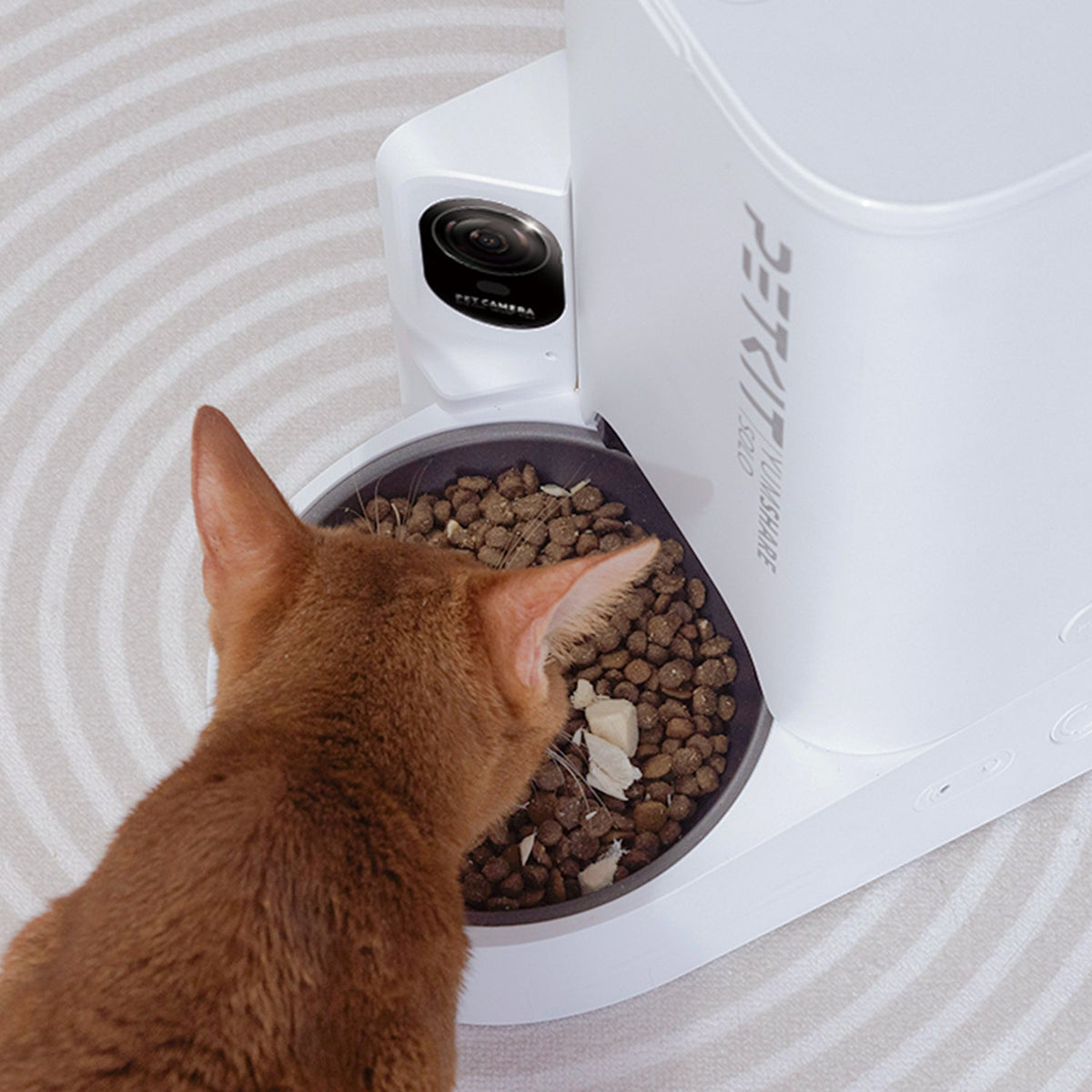 YumShare Solo Automatic Feeder with Camera – Smart Pet Feeding
