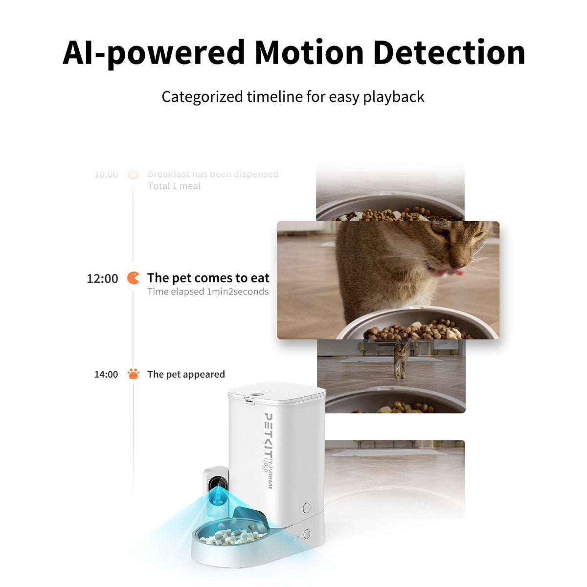 YumShare Solo Automatic Feeder with Camera – Smart Pet Feeding